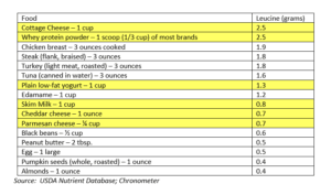 Leucine Benefits for Runners: What You Need to Know!